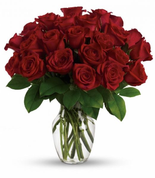 Red Rose Dream (TEV12-7C) - Bunches Flower Co.