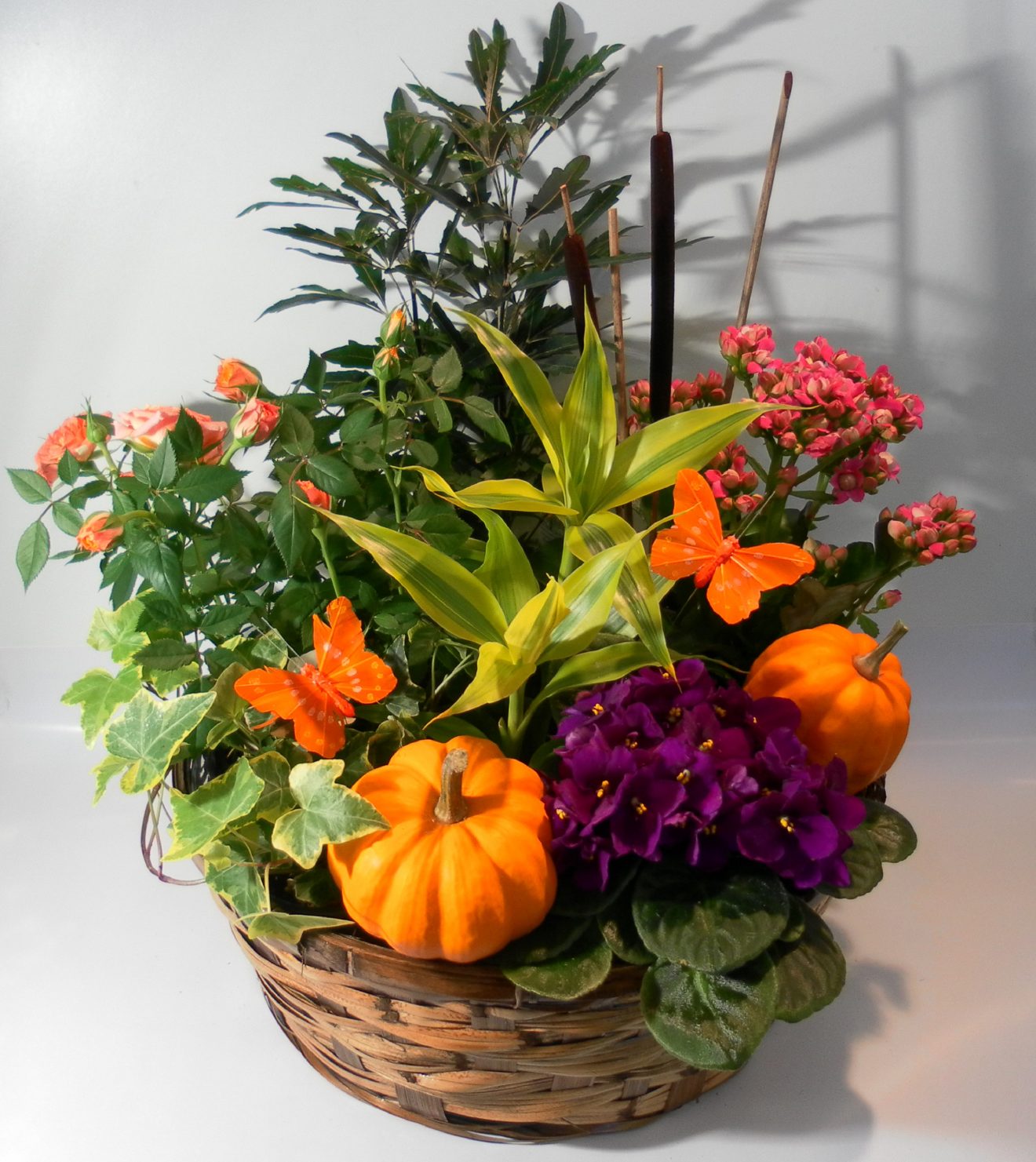 Deluxe Thanksgiving Planter (TG21-04) - Bunches Flower Co.