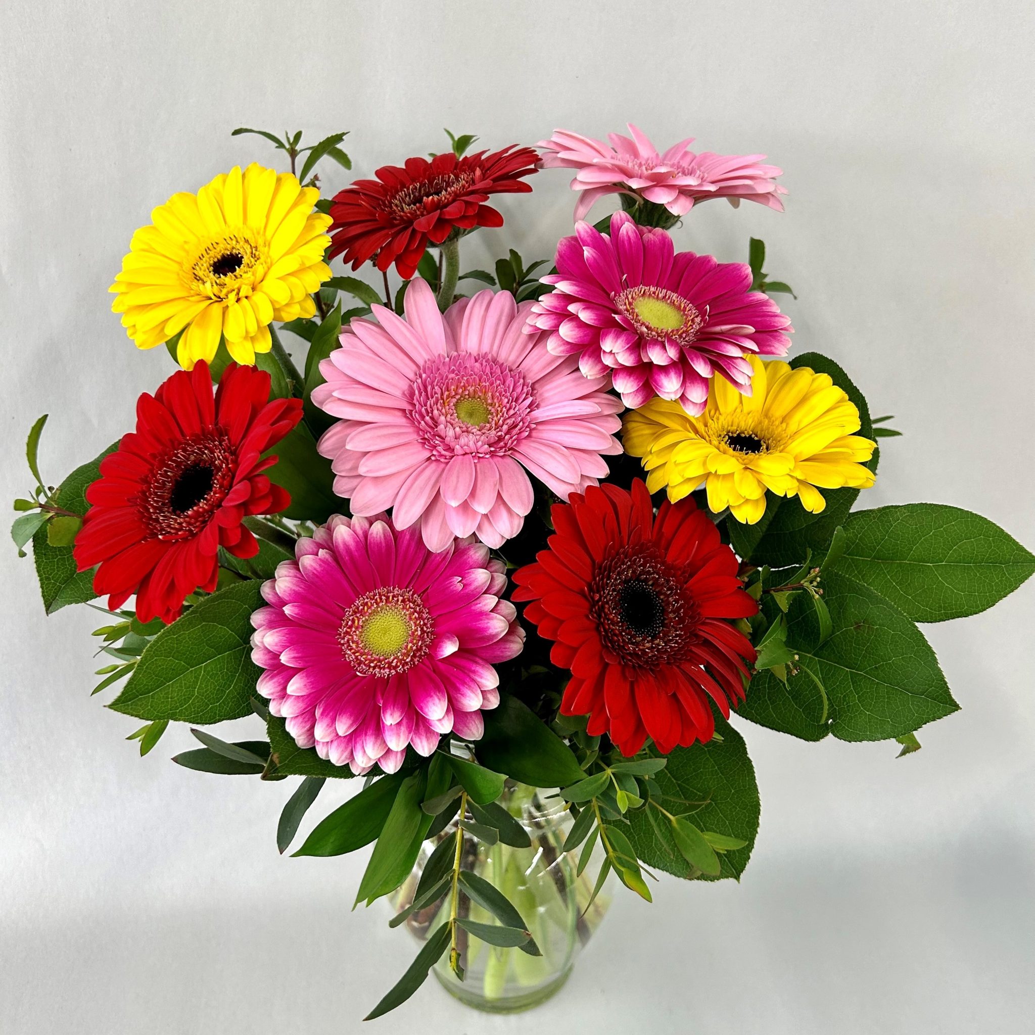 Spring Has Sprung (T93-1A) - Bunches Flower Co.
